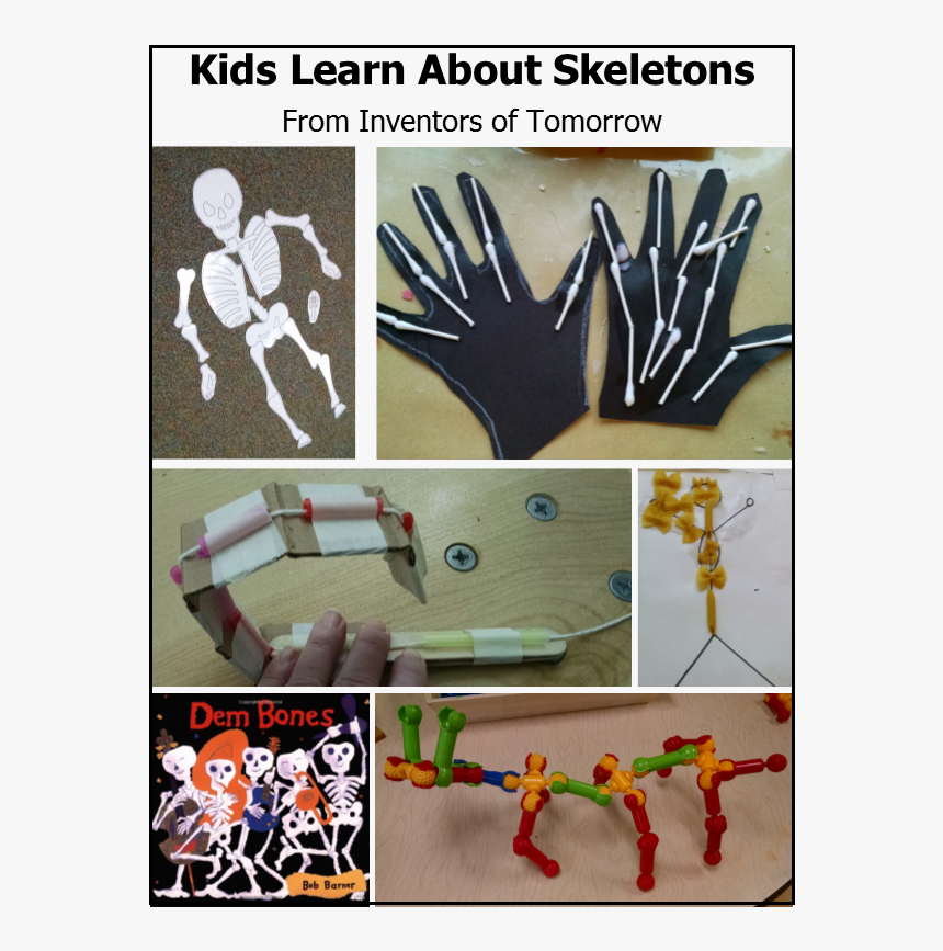 Skeleton Made Out Of Straws, HD Png Download , Transparent Png Image ...