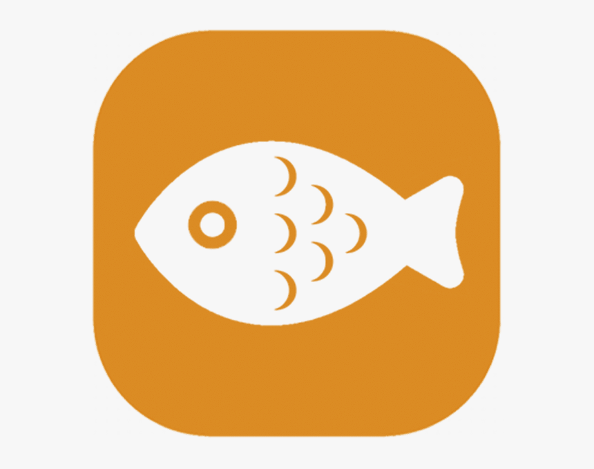 Fish Favicon Png, Transparent Png , Transparent Png Image - PNGitem