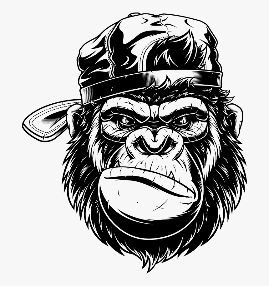 Monkey Head, HD Png Download , Transparent Png Image - PNGitem