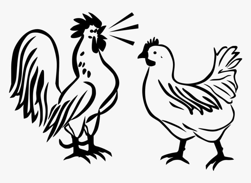 Drawing Of A Rooster Crowing, HD Png Download , Transparent Png Image ...