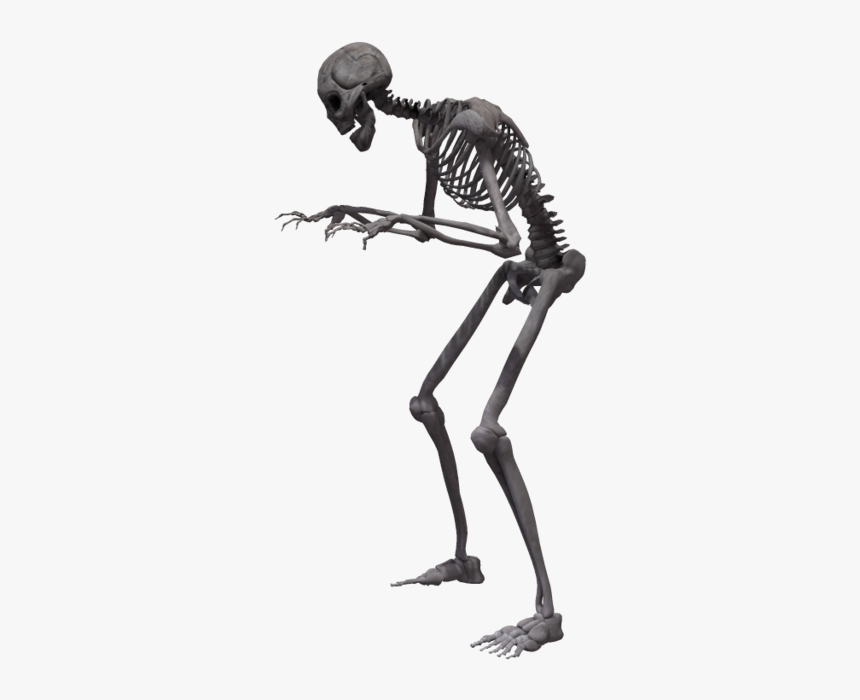 Full Body Skeleton Transparent Background Png - Skeleton Legs ...