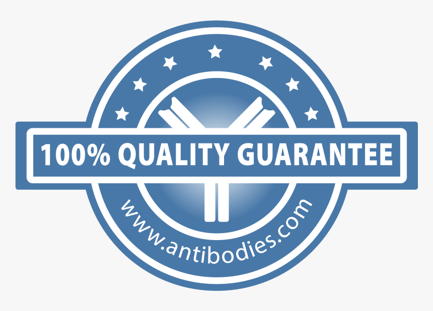 Kryptonics Logo, HD Png Download , Transparent Png Image - PNGitem