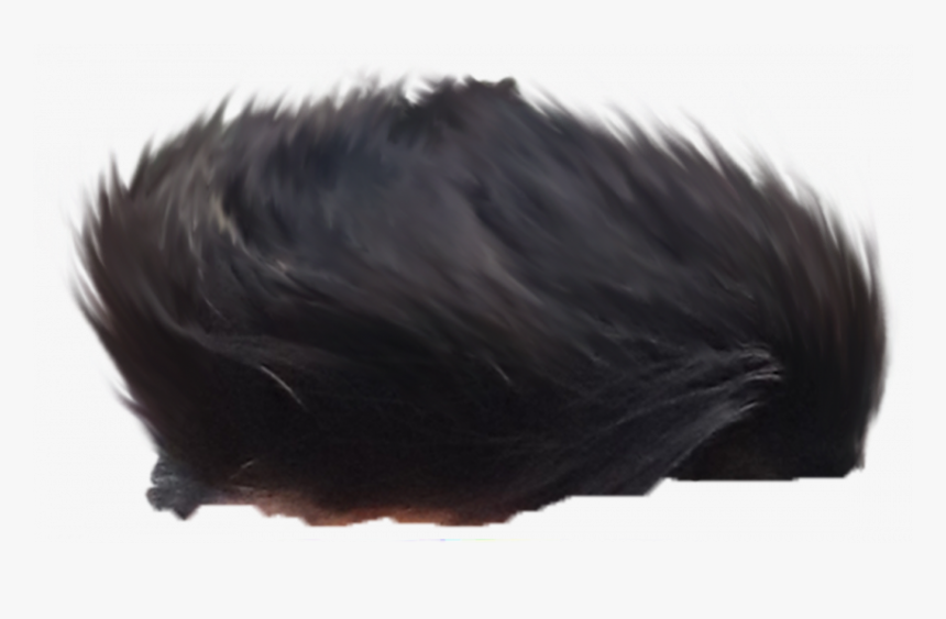 Transparent Hair Png, Png Download , Transparent Png Image - PNGitem