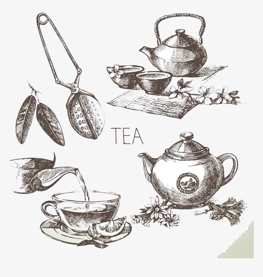 Teacup Drawing Sketch - Tea Sketch Vector, HD Png Download ...