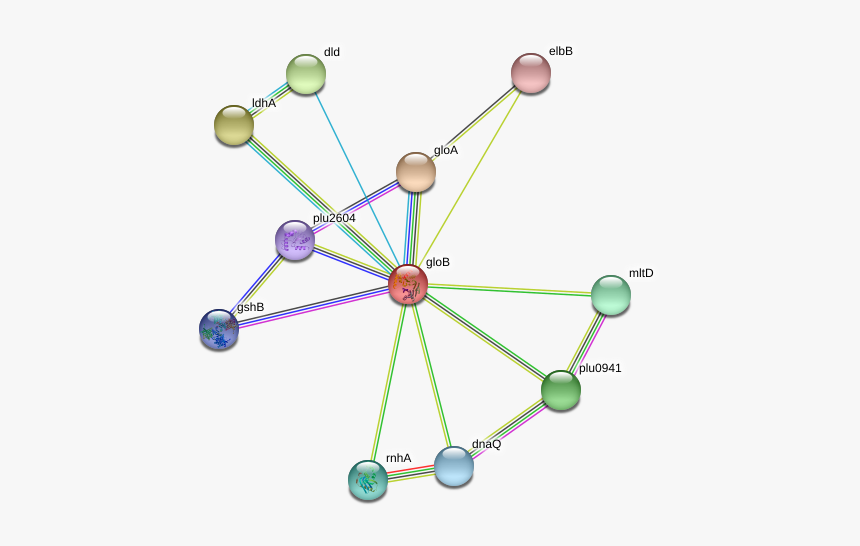 Glob Protein - Circle, HD Png Download , Transparent Png Image - PNGitem