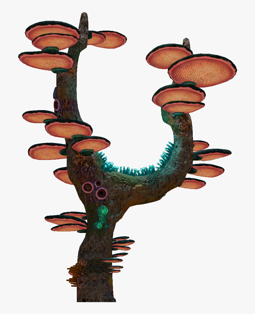 Subnautica Wiki - Subnautica Coral Tree, HD Png Download , Transparent ...