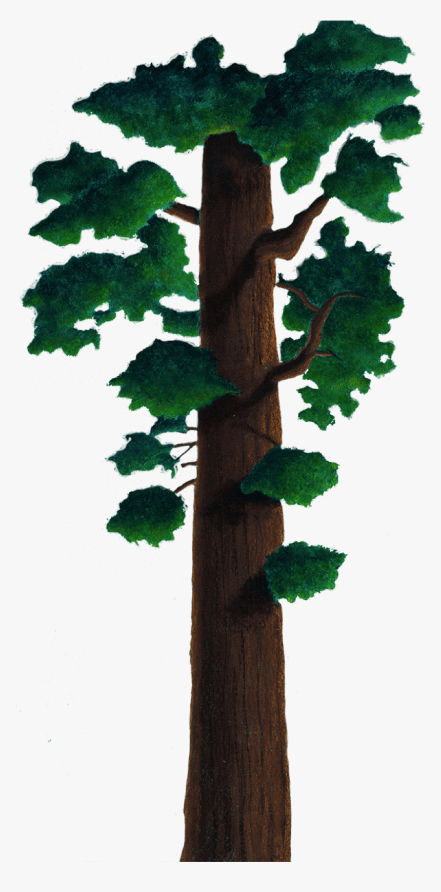 Tree - Wood, HD Png Download , Transparent Png Image - PNGitem