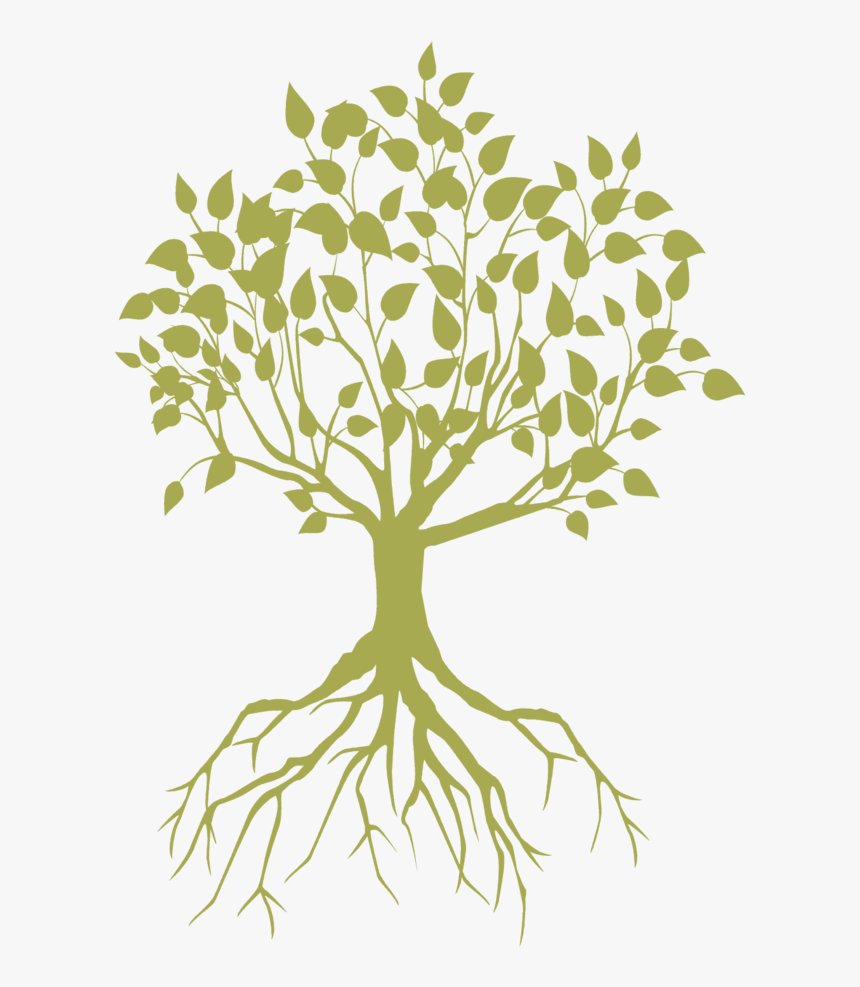Mint Tree Olivegreen-01 - Tree With Roots, HD Png Download ...