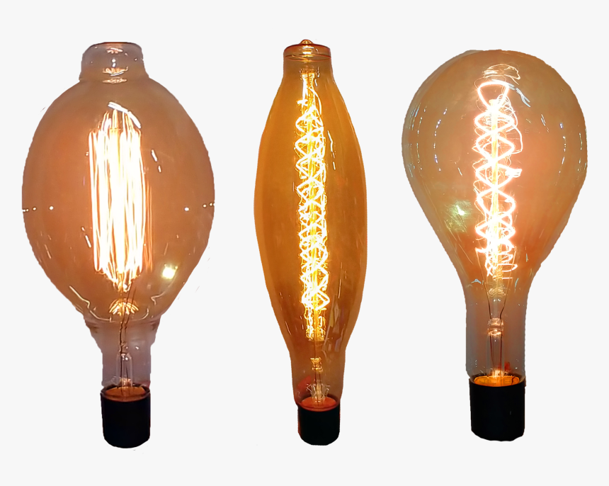 Bulbs Png, Transparent Png , Transparent Png Image - PNGitem