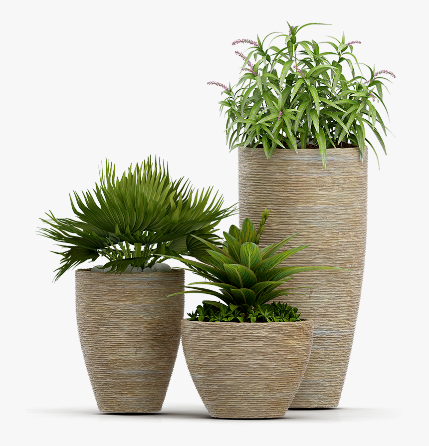 Services Plant - Plant Psd, HD Png Download , Transparent Png Image - PNGitem