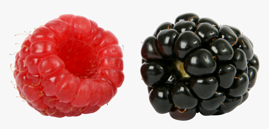 Raspberry Blackberry Png, Transparent Png , Transparent Png Image - PNGitem