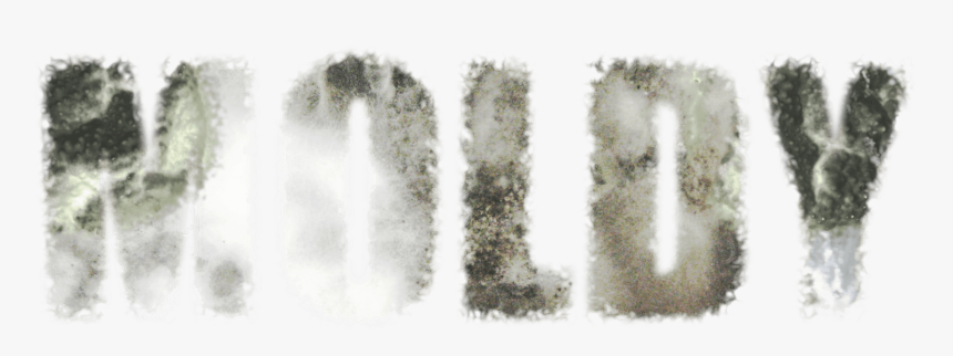 The Health Hazards Of Toxic Mold - Word Moldy, HD Png Download ...