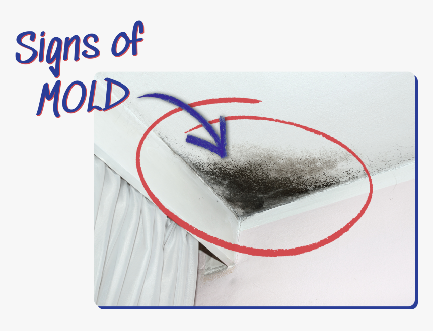 Signs Of Mold Example - Sketch, HD Png Download , Transparent Png Image ...