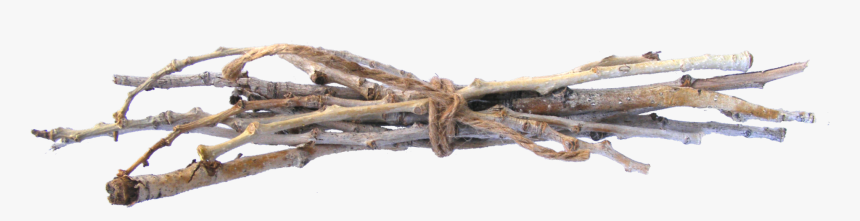Transparent Twig Clipart - Bundle Of Sticks Png, Png Download ...
