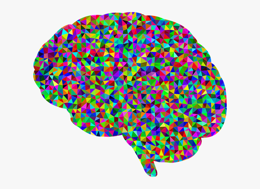 Colorful Brain Clear Background, HD Png Download , Transparent Png ...