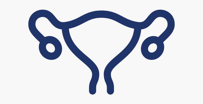 Gynaecology, HD Png Download , Transparent Png Image - PNGitem
