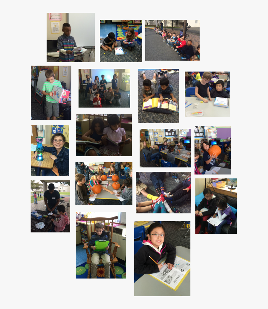 Picture - Collage, HD Png Download , Transparent Png Image - PNGitem