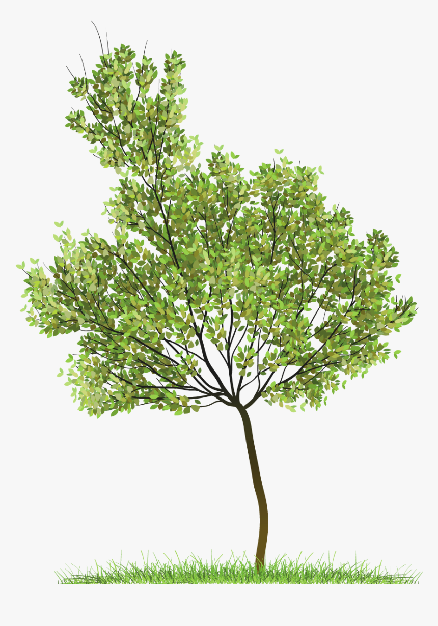 Icon Clip Art - Green Tree Icon Png, Transparent Png , Transparent Png ...