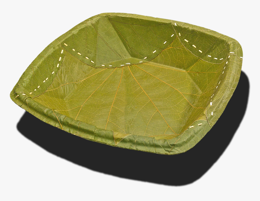Leaf Republic Plates , Png Download - Aquatic Plant, Transparent Png ...