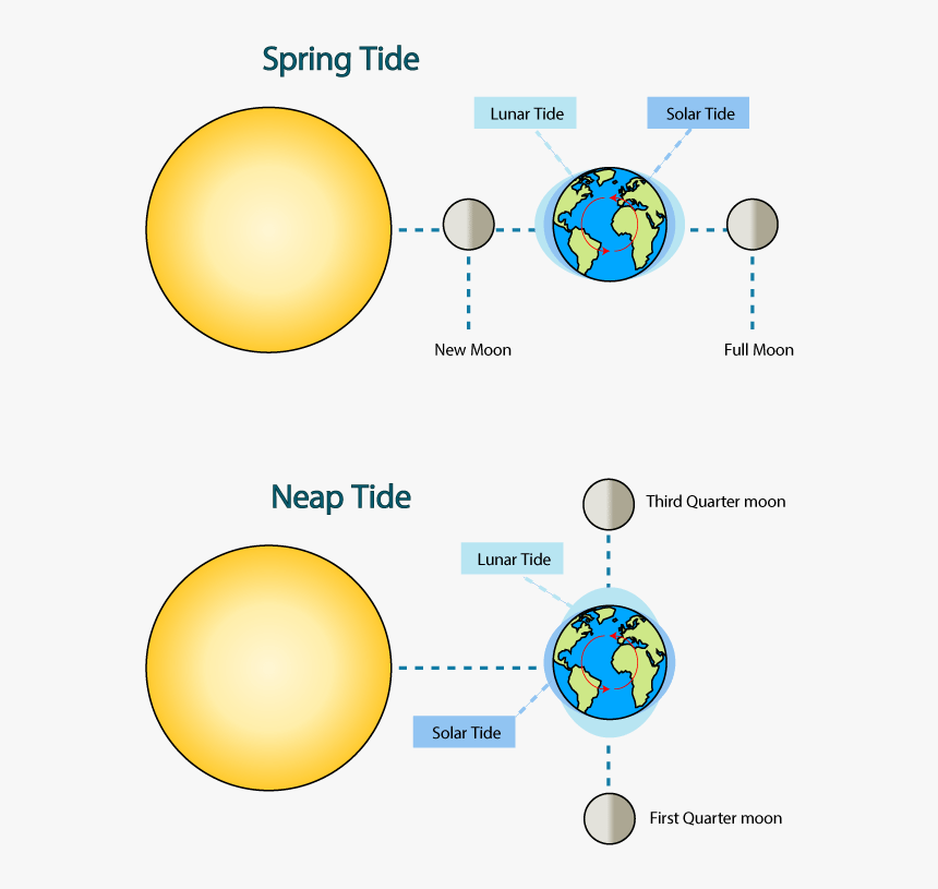 Spring And Neap Tides - Neap Tide Moon Position, HD Png Download ...