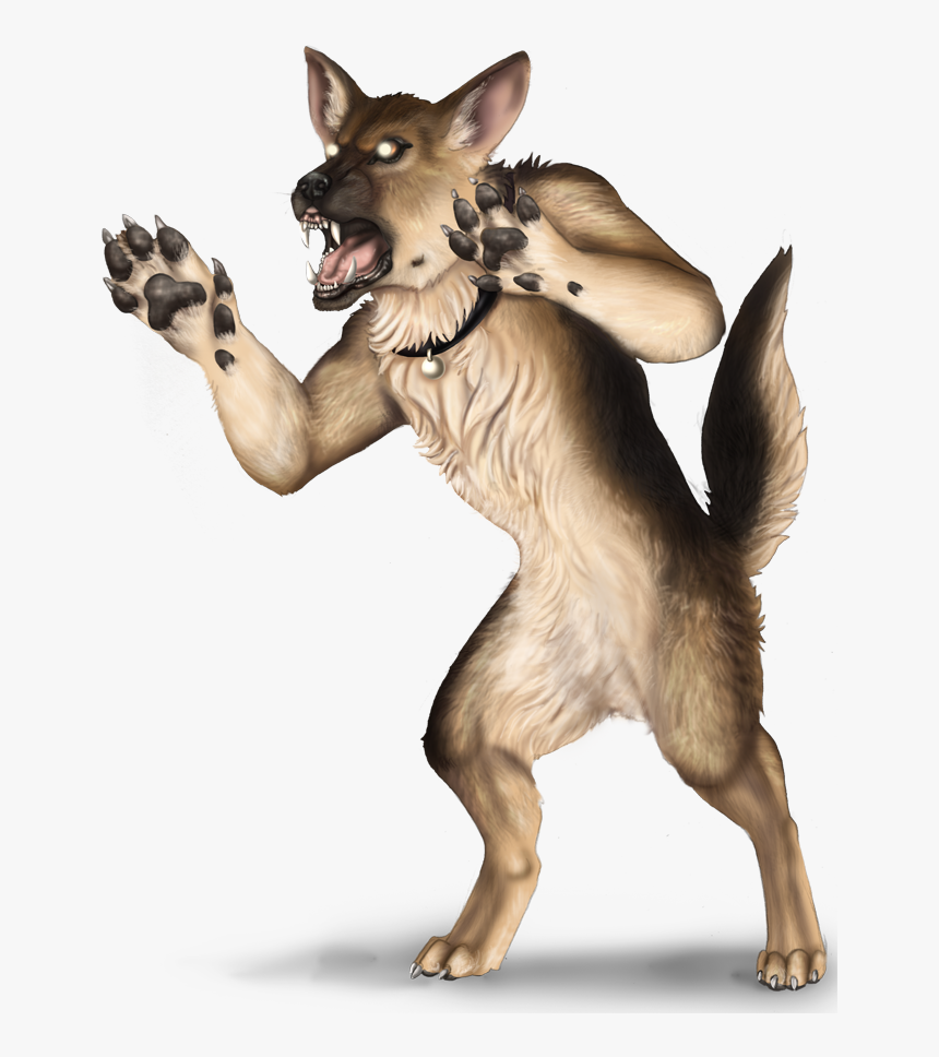 Evil German Shepherd