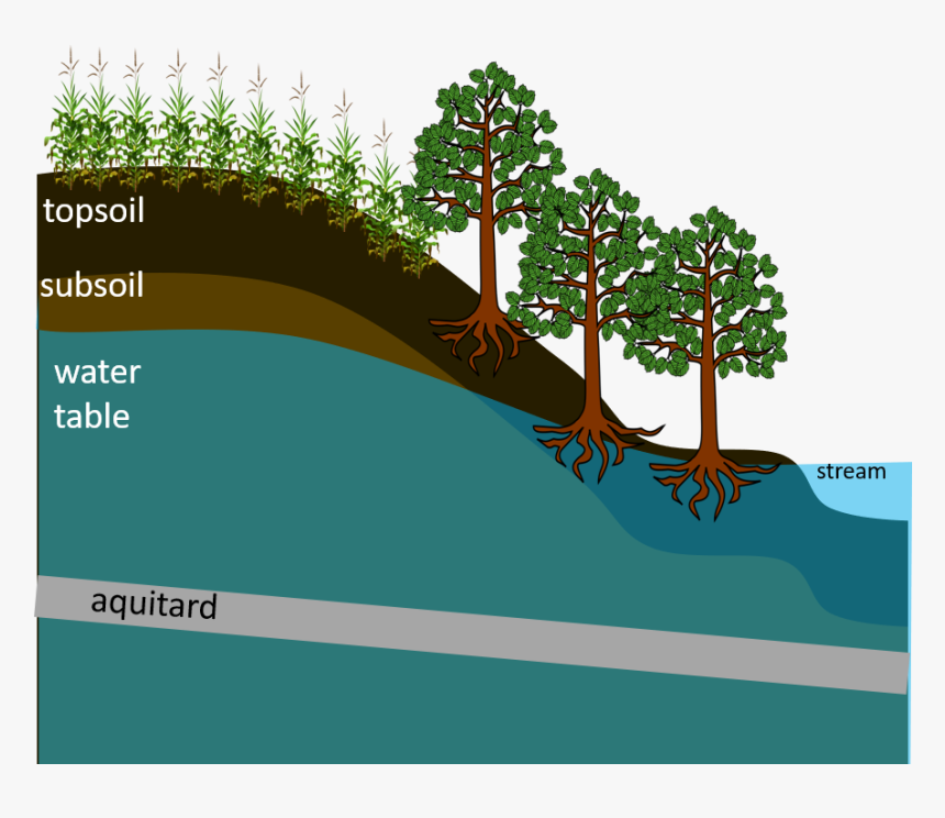 Transparent Forest Fire Clipart - Illustration, HD Png Download ...