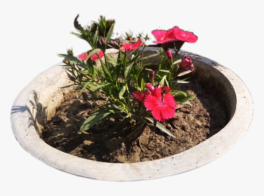 Graphics Pic - Red Spike, HD Png Download , Transparent Png Image - PNGitem