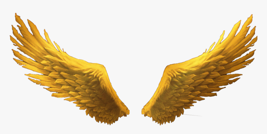 #goldenwings #goldwings #golden #gold #wings #wimg - Gold Angel Wings ...