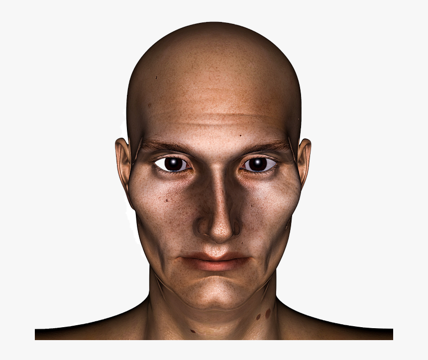 Bald Human Transparent, HD Png Download , Transparent Png Image - PNGitem