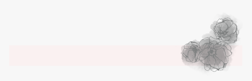 Page Break Website, HD Png Download , Transparent Png Image - PNGitem