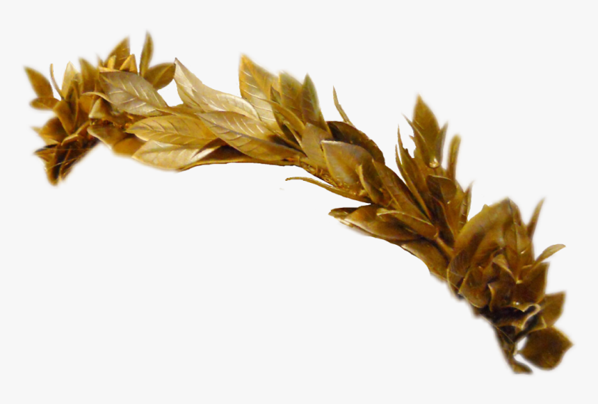 Transparent Leaf Crown Png, Png Download , Transparent Png Image - PNGitem