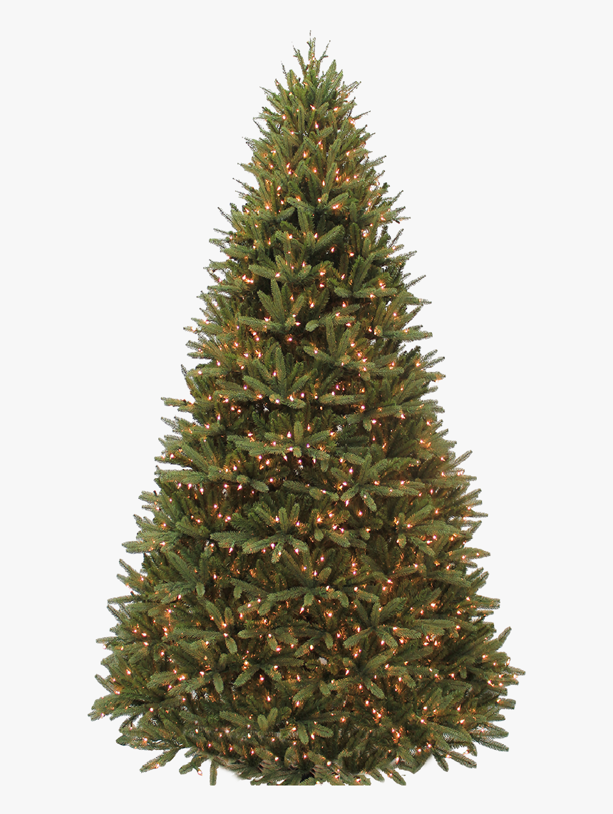 Wintergreen Tree, HD Png Download , Transparent Png Image - PNGitem