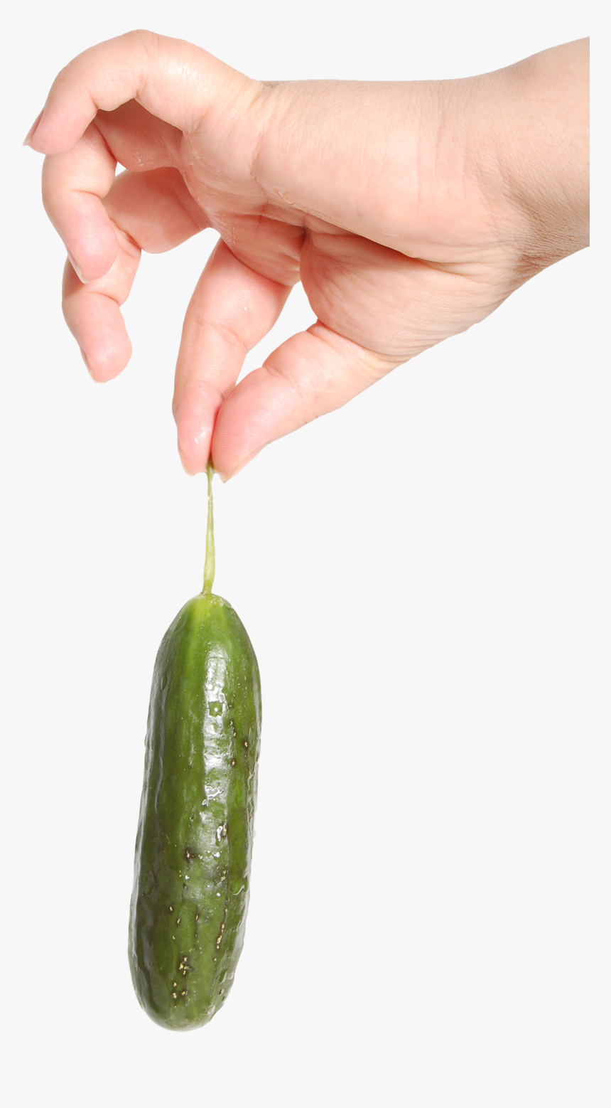 Pngpix - Hand Holding Pickle, Transparent Png , Transparent Png Image ...