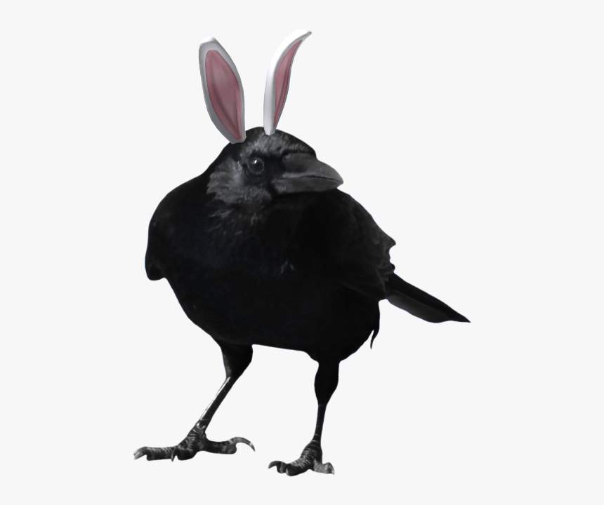 Dc Titans Raven , Png Download - Crow Transparent Png, Png Download ...