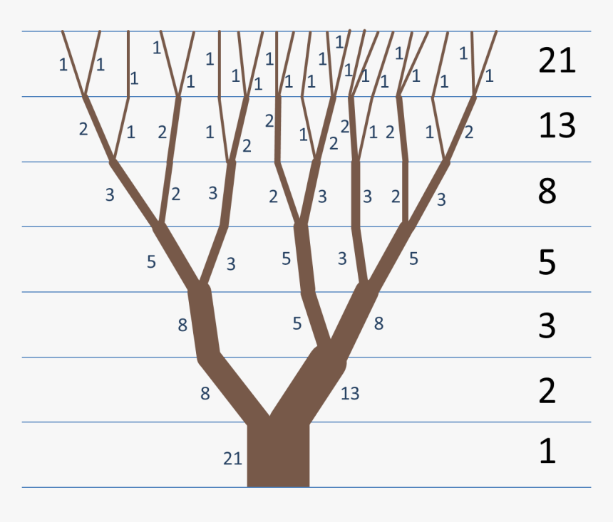 Fibonacci Sequence And Fractals , Png Download - Fibonacci Sequence In ...