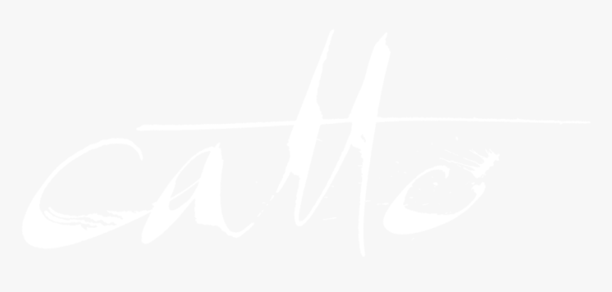 Native Instruments Logo White, HD Png Download , Transparent Png Image ...