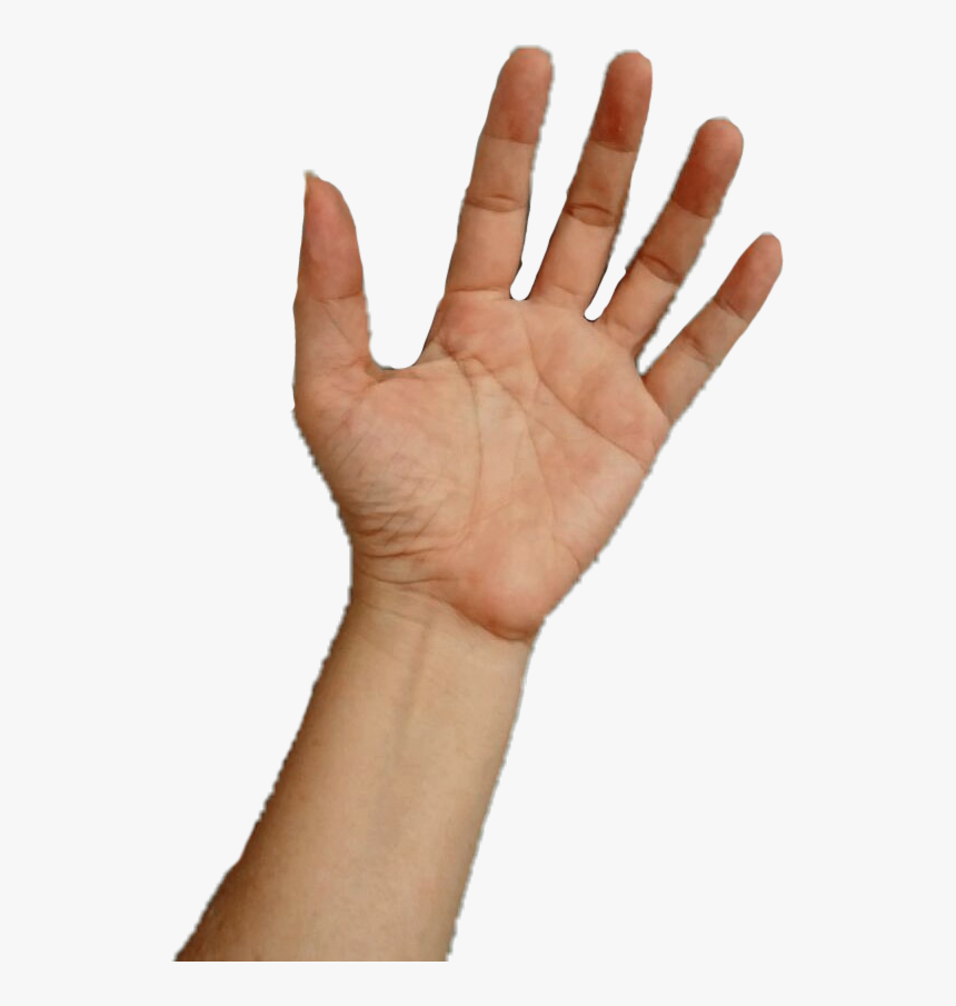 #hand #people #human #open #keep #hold #take #put #love - Hold Hands ...