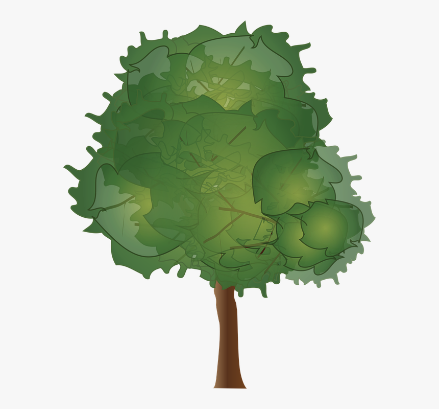 Tree, HD Png Download , Transparent Png Image - PNGitem