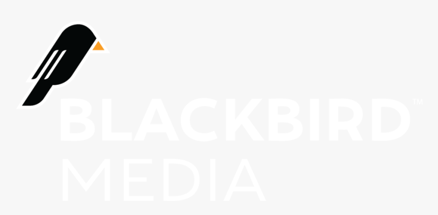 Black Bird Png, Transparent Png , Transparent Png Image - PNGitem