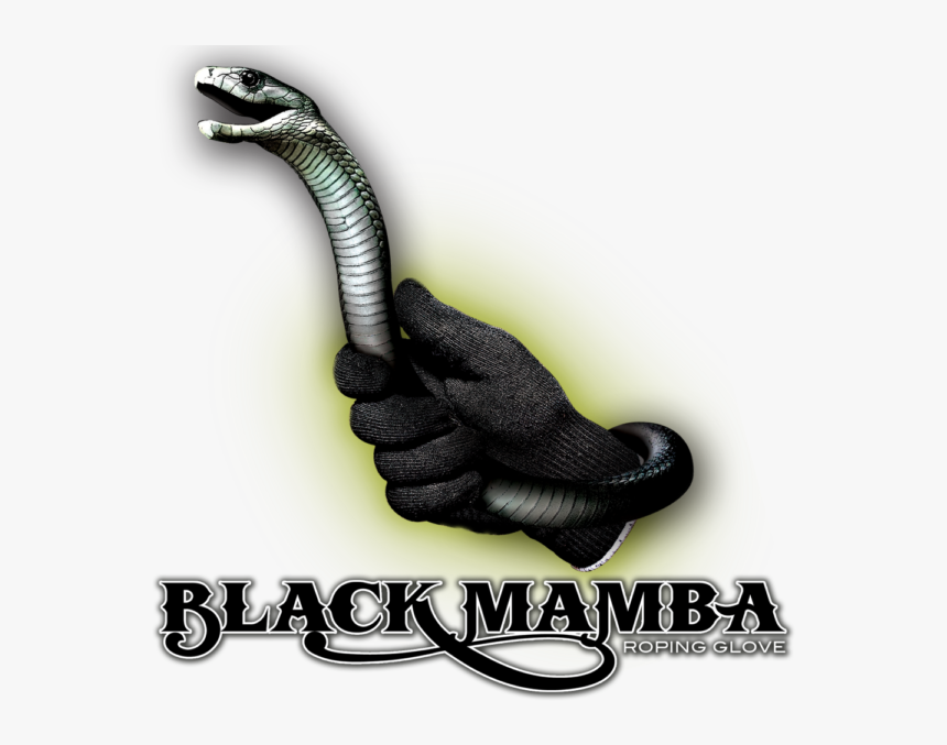 Black Mamba Png Image - Snake, Transparent Png , Transparent Png Image ...