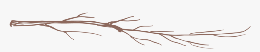 Twigs2-02 - Twig, HD Png Download , Transparent Png Image - PNGitem