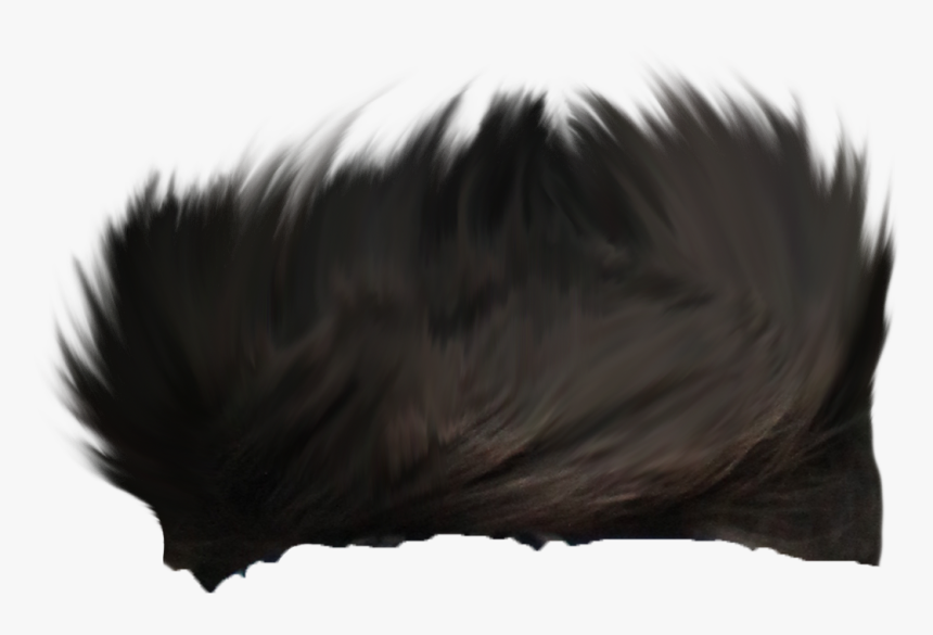 Best Hd Png Background, Transparent Png , Transparent Png Image - PNGitem