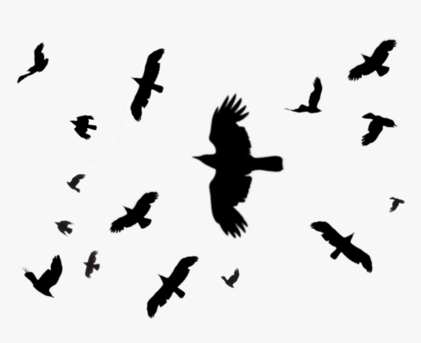 Black Birds Png - Black Birds Flying Png, Transparent Png , Transparent ...