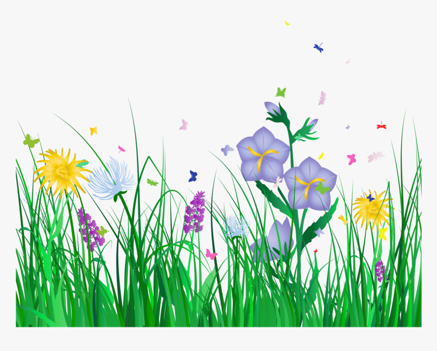 Grass Border No Background - Flower Free Transparent Background, HD Png ...