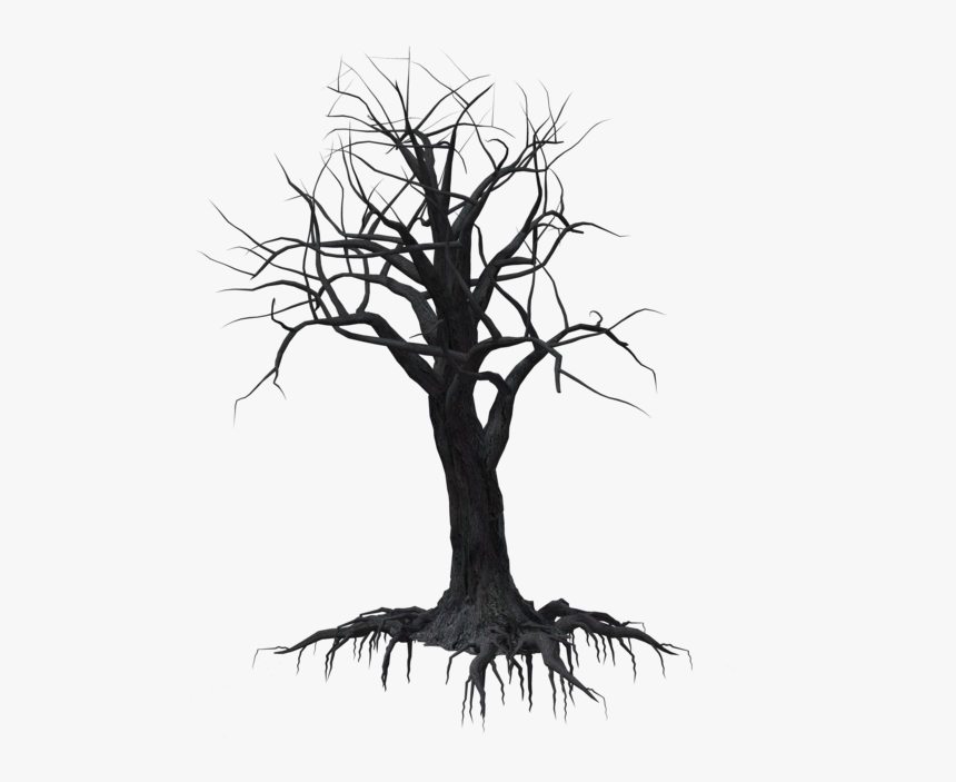 Free Tree Png Black And White Broken Tree - Tree, Transparent Png ...