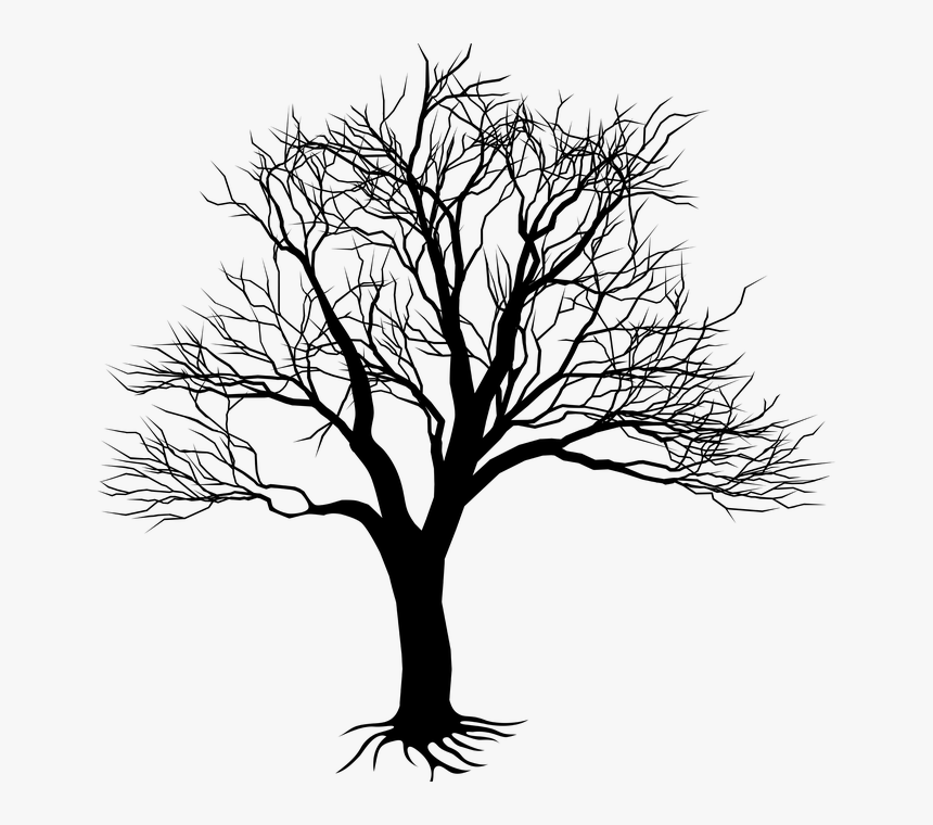 Tree,branch,woody Stem,black And White,illustration,line - Kill A ...