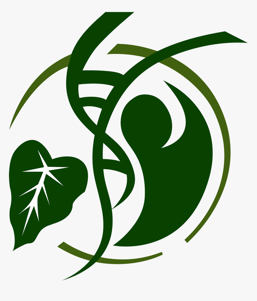 Health Clipart Background Design - Medical Logo Transparent Background ...