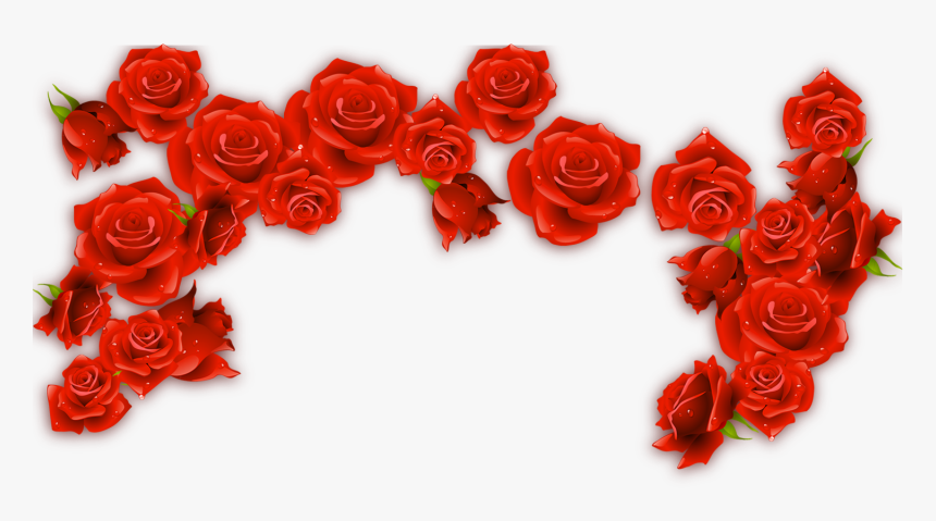 Red Wine Rosxe9 Rose - Transparent Red Roses Border, HD Png Download ...