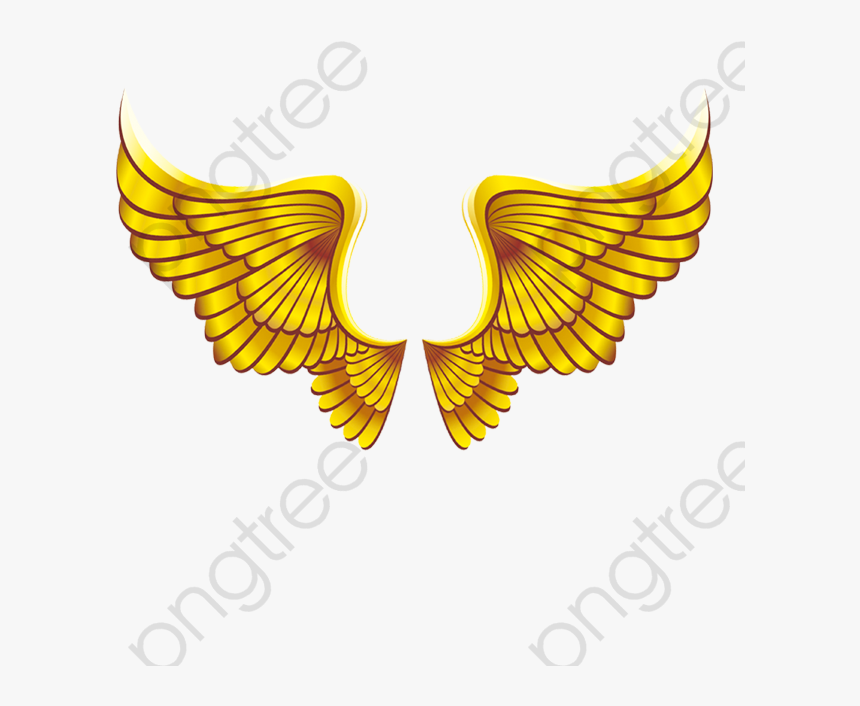 Cartoon Eagle Wings