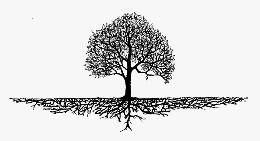 Tree With Roots Clipart Branch - Tree With Roots Art, HD Png Download ...